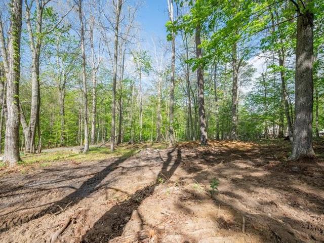 3826 S Scenic Hwy Lot 0, Bland, VA 24315