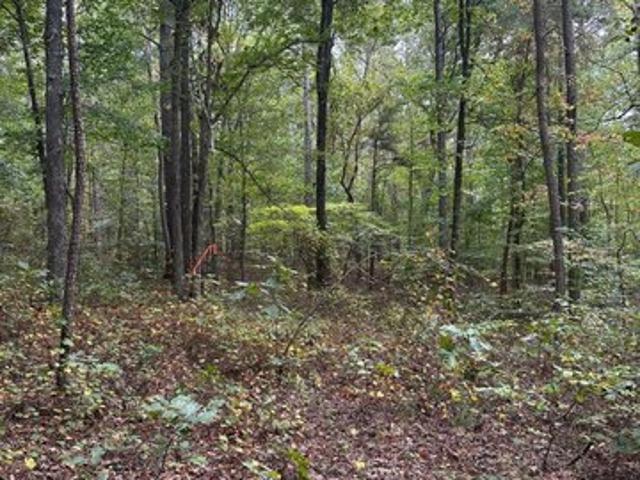 3826 Salacoa Tract # C, Waleska, GA 30183