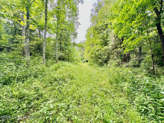 3826 1 Chaplin Rd