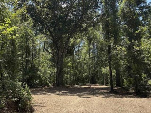 38270 Walker Rd N, Walker, LA 70785