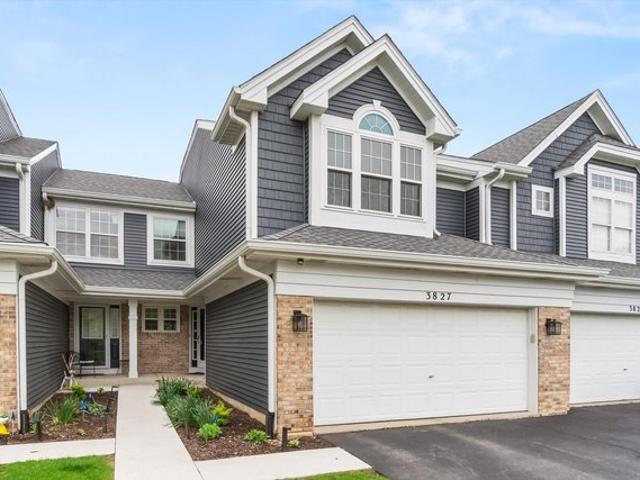 3827 Petra Ct, Naperville, IL 60564