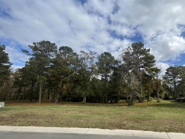 3828 Crab Catcher Loop NE, Leland, NC 28451 | MLS #100474