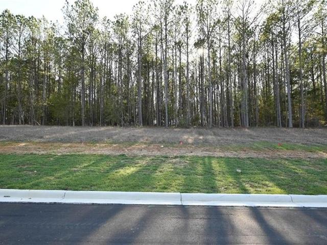 3820 Ridgeline Trl, Auburn, AL 36830