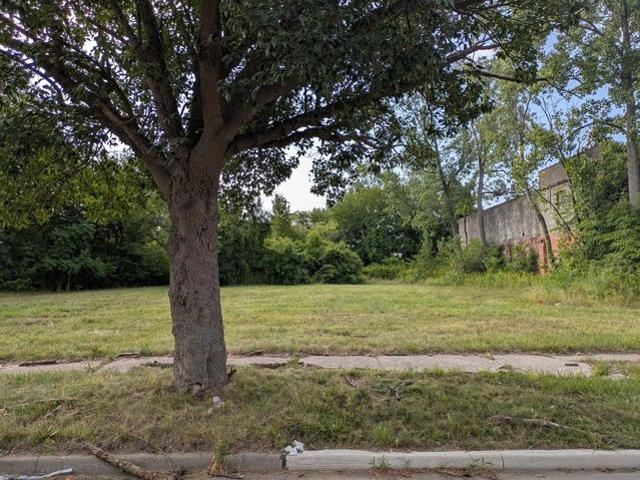 3821 McGraw Ave, Detroit, MI 48208