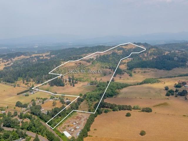 38228 Mount Hope Dr, Lebanon, OR 97355