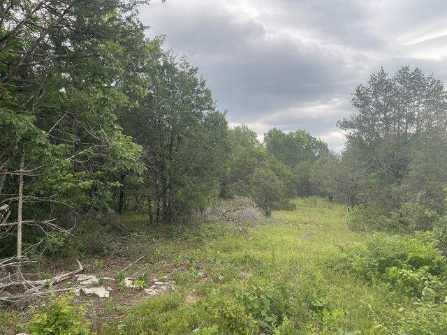 3822 Bivens Hill Rd, Readyville, TN 37149