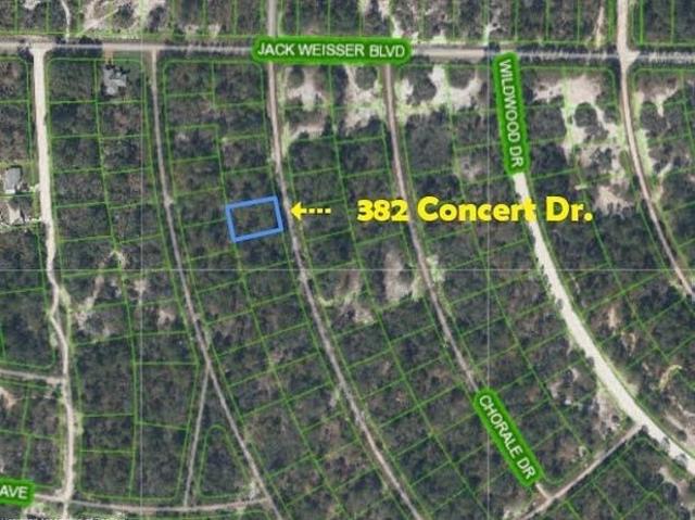 382 Concert Dr, Lake Placid, FL 33852