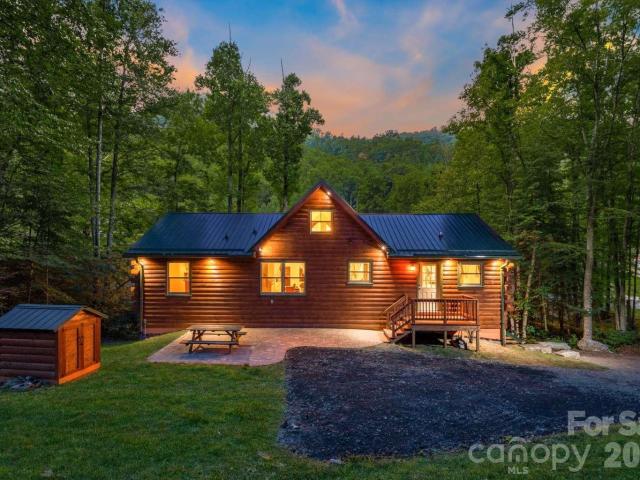 382 Paint Fork Road