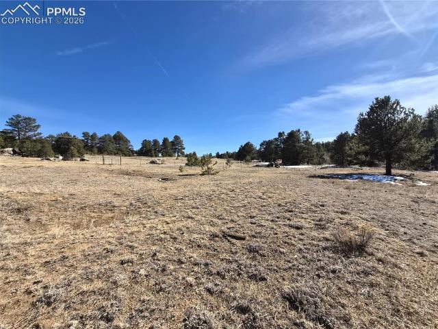 38340 Highway 24, Lake George, CO 80827 | MLS #5424
