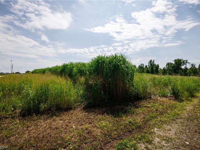 3835 County Road 147