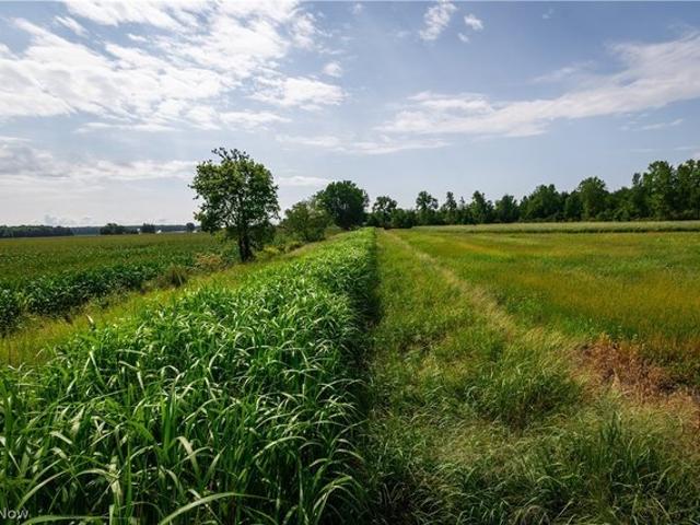 3835 County Road 147, Woodville, OH 43416