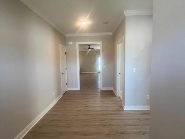 3838 High Pointe Lane