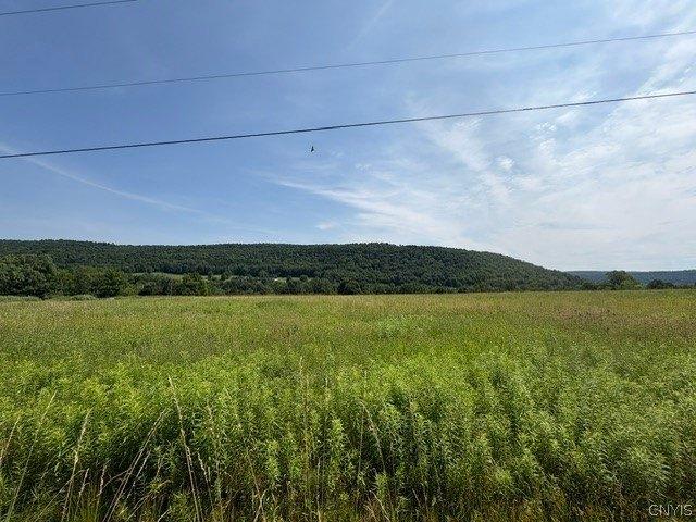 3838 Union Valley Rd, Cincinnatus, NY 13052