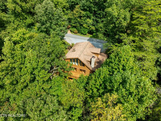 3839 Saddle Brook Way
