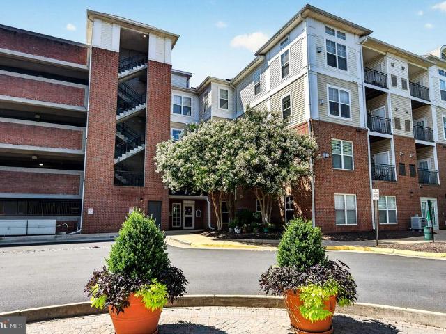 3830 Lightfoot Street # 325
