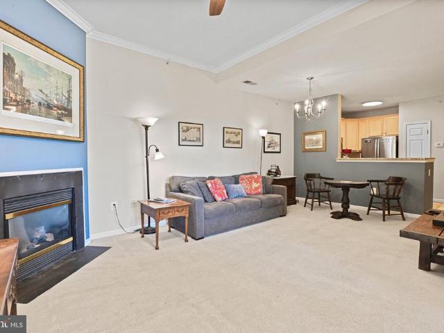 3830 Lightfoot Street # 425