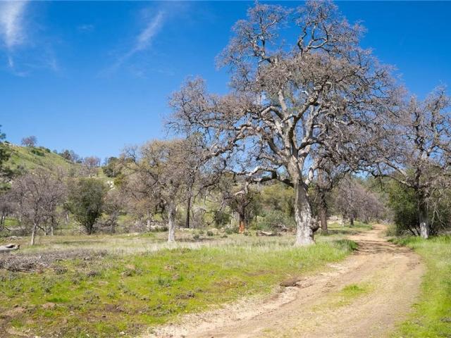 3831 Broncho Hollow