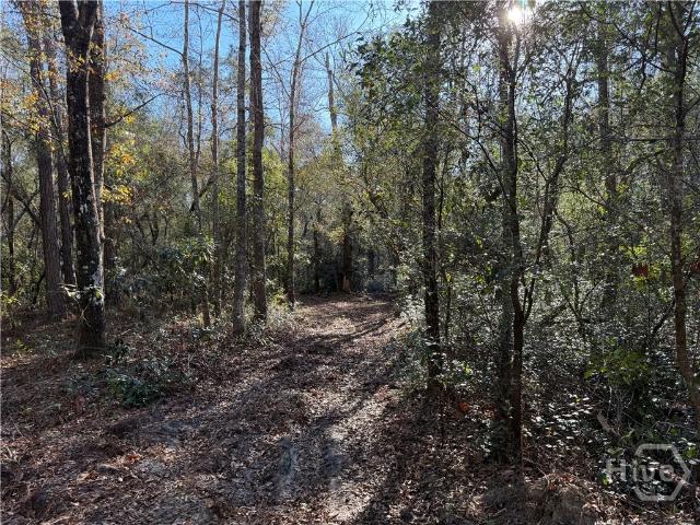 3833 Old Louisville Rd, Guyton, GA 31312 | MLS #SA346045