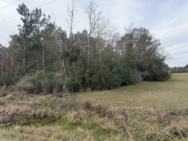 383 Highway Iowa La, Lot 1, Iowa, LA 70647 | MLS #SWL25102