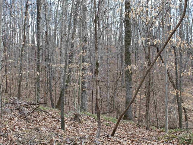 3842 waterfall creek rd