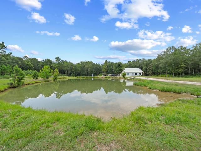 384 County Road 352, Cleveland, TX 77327 | MLS #93982 | Compass