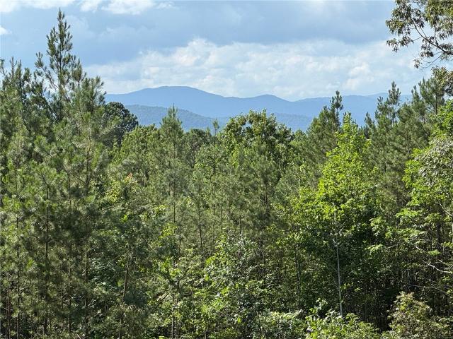 384 Cliffs S Pkwy, Salem, SC 29676 | MLS #20290