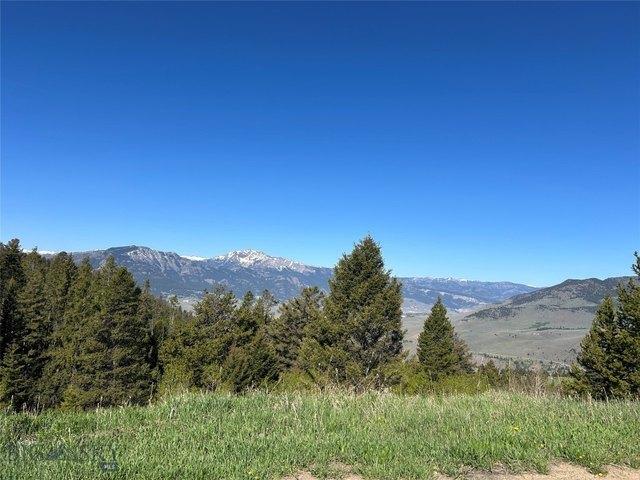 384 Crevice Rd, Jardine, MT 59030