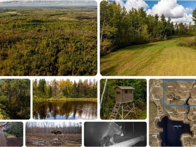 384 Acres Tbd Little Pine Rd, Emily, MN 56447