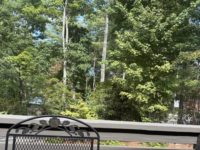 384 Bear Cub Dr, Spruce Pine, NC 28777