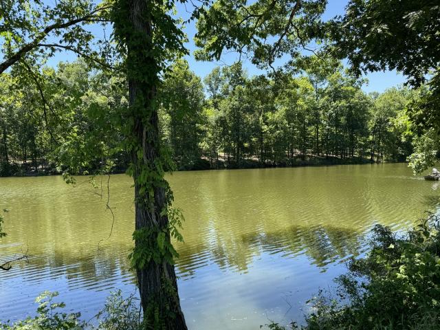 384 Duck Blind Rd