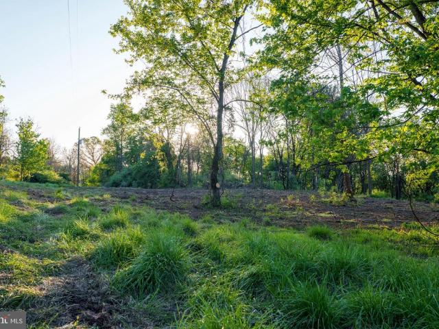 384 Frog Hollow