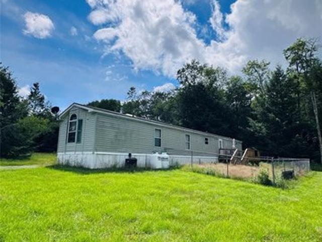 384 Lenape Lake Rd, Livingston Manor, NY 12758