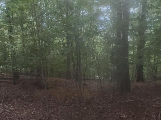 384 Monte Sano Drive
