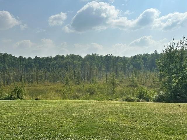 38542, Laporte, MN 56461