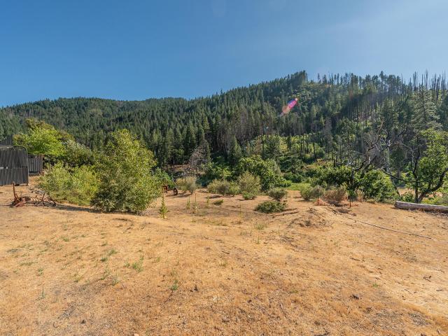 38550 Highway 299, Junction City, CA 96048 | MLS #25 3033