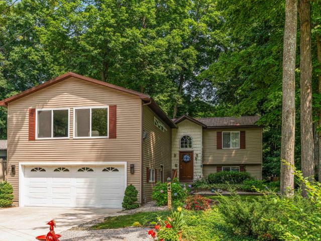 3855 White Birch Drive