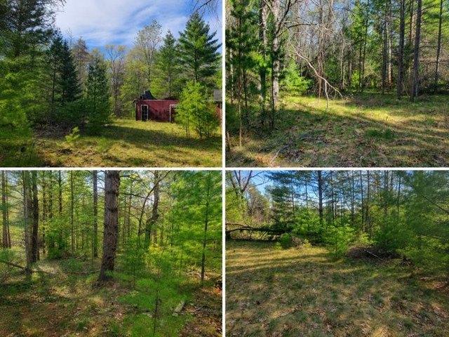 3856 Old State Rd, National City, MI 48748