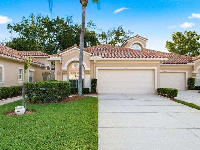3857 Timber Ridge Ct, Palm Harbor, FL 34685