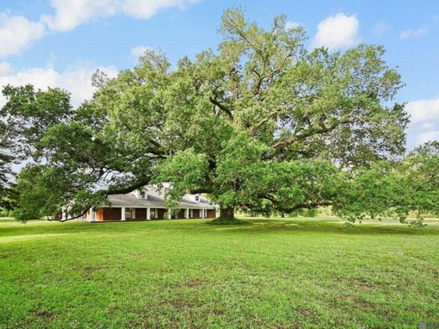 38517 LA Highway 74, Gonzales, LA 70737