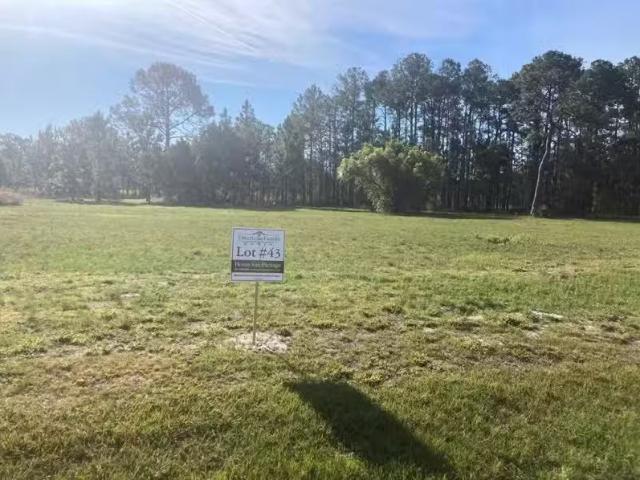 38518 Wooded Meadow Dr, Umatilla, FL 32784 MLS G5094829