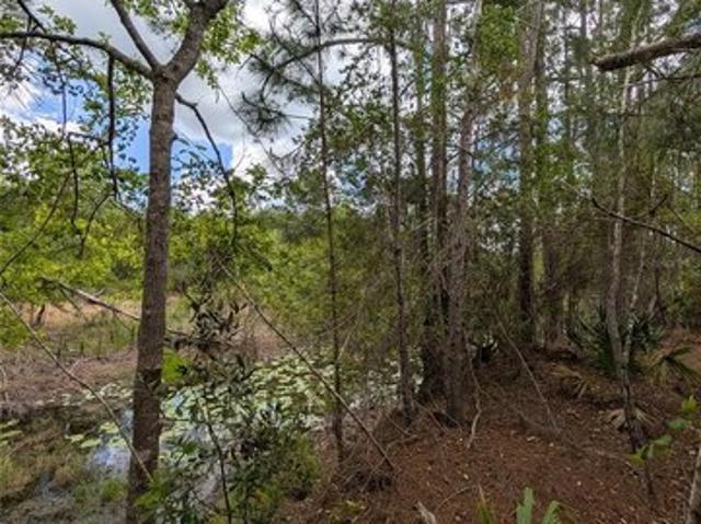 38521 Ilex Trl, Eustis, FL 32736