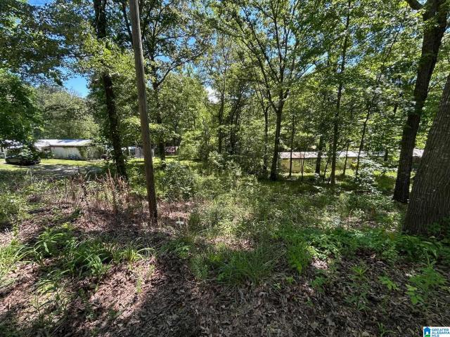385 Cobb Road # 1