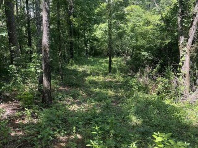 385 Carr Rd, Alpine, AL 35014