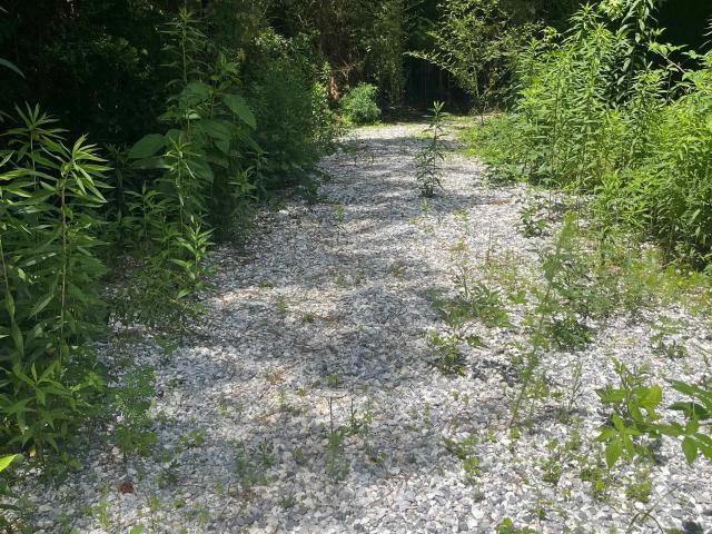 385 Carr Road # none