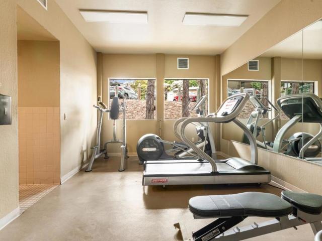 385 Mandarin Drive 11