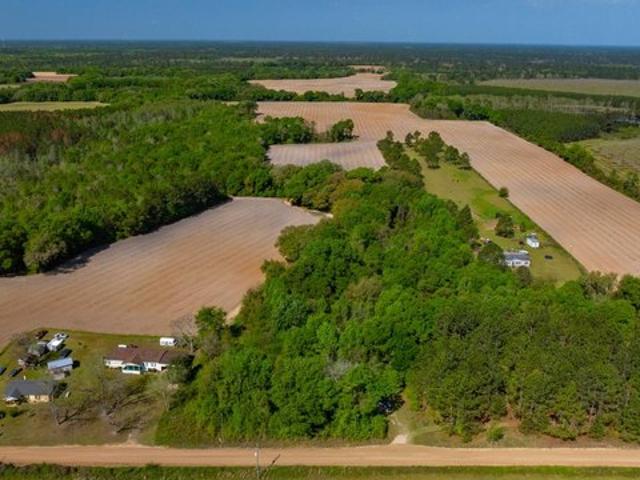 385 MT Horeb Rd, Oakfield, GA 31772