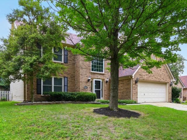 385 Whitfield Drive