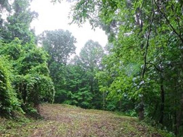 385 Valley View Dr, Maggie Valley, NC 28751