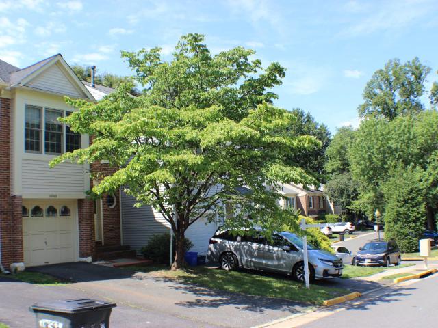 3869 Waythorn Place