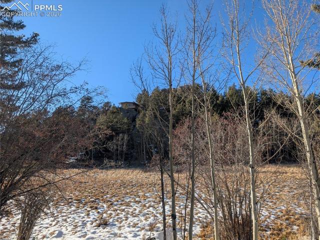 386 Brook Dr, Lake George, CO 80827 | MLS #6638